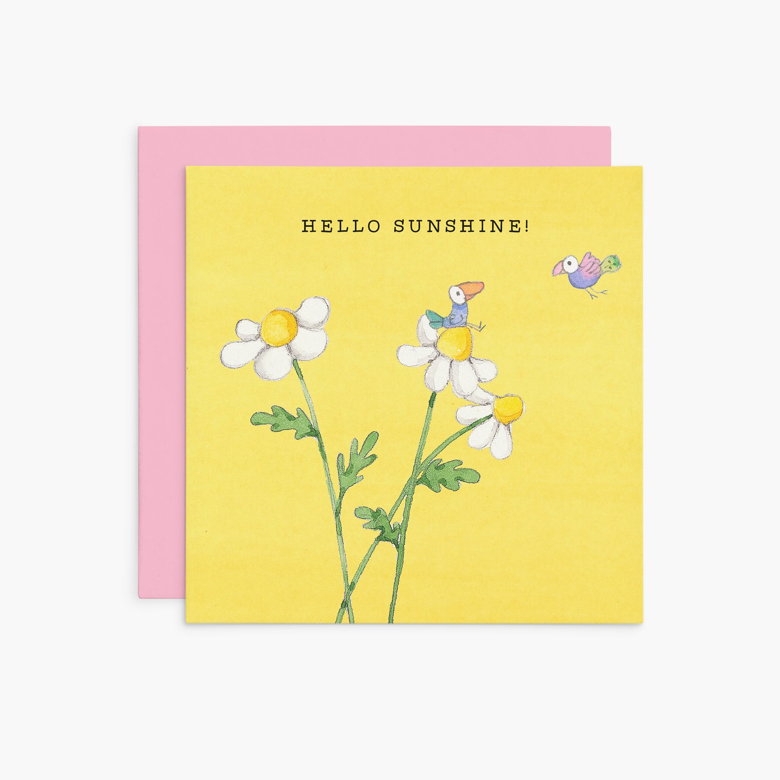 K309 - Hello Sunshine! - Twigseeds Greeting Card | Affirmations ...